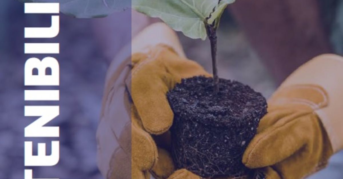 Sodexo Chile presenta su Informe de Sostenibilidad 2023 | Cámara Franco ...